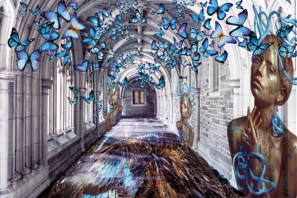 Butterflies - Sandler Art