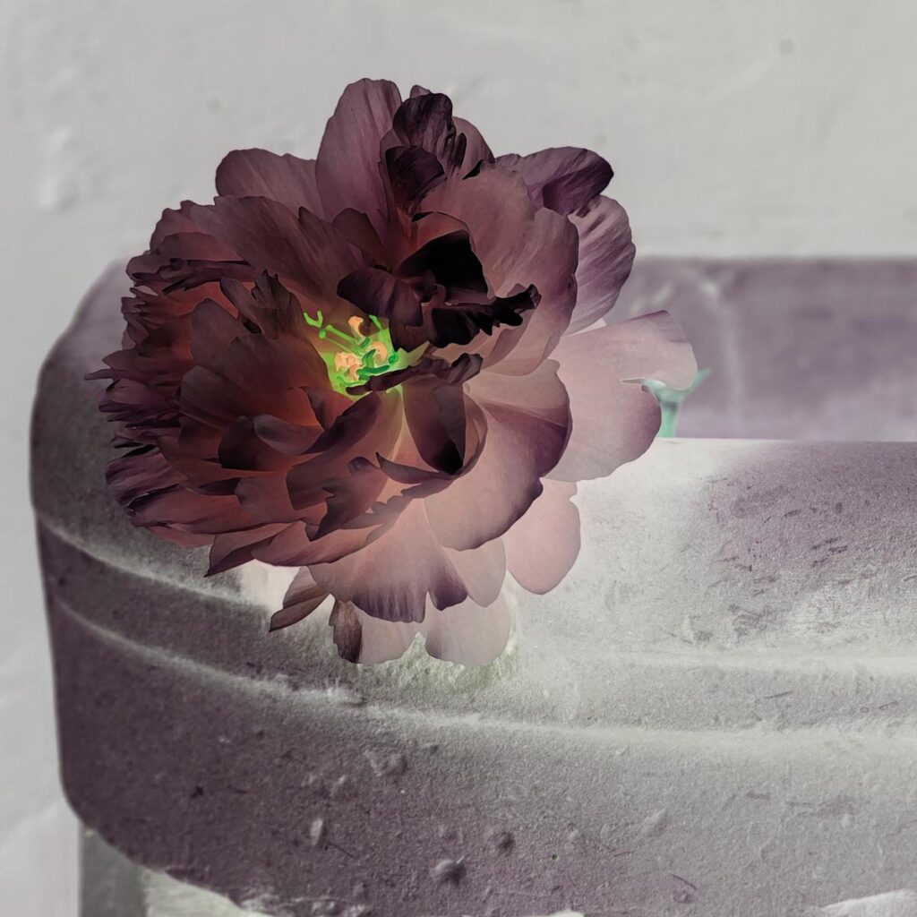 Exploding yellow roses - Sandler Art