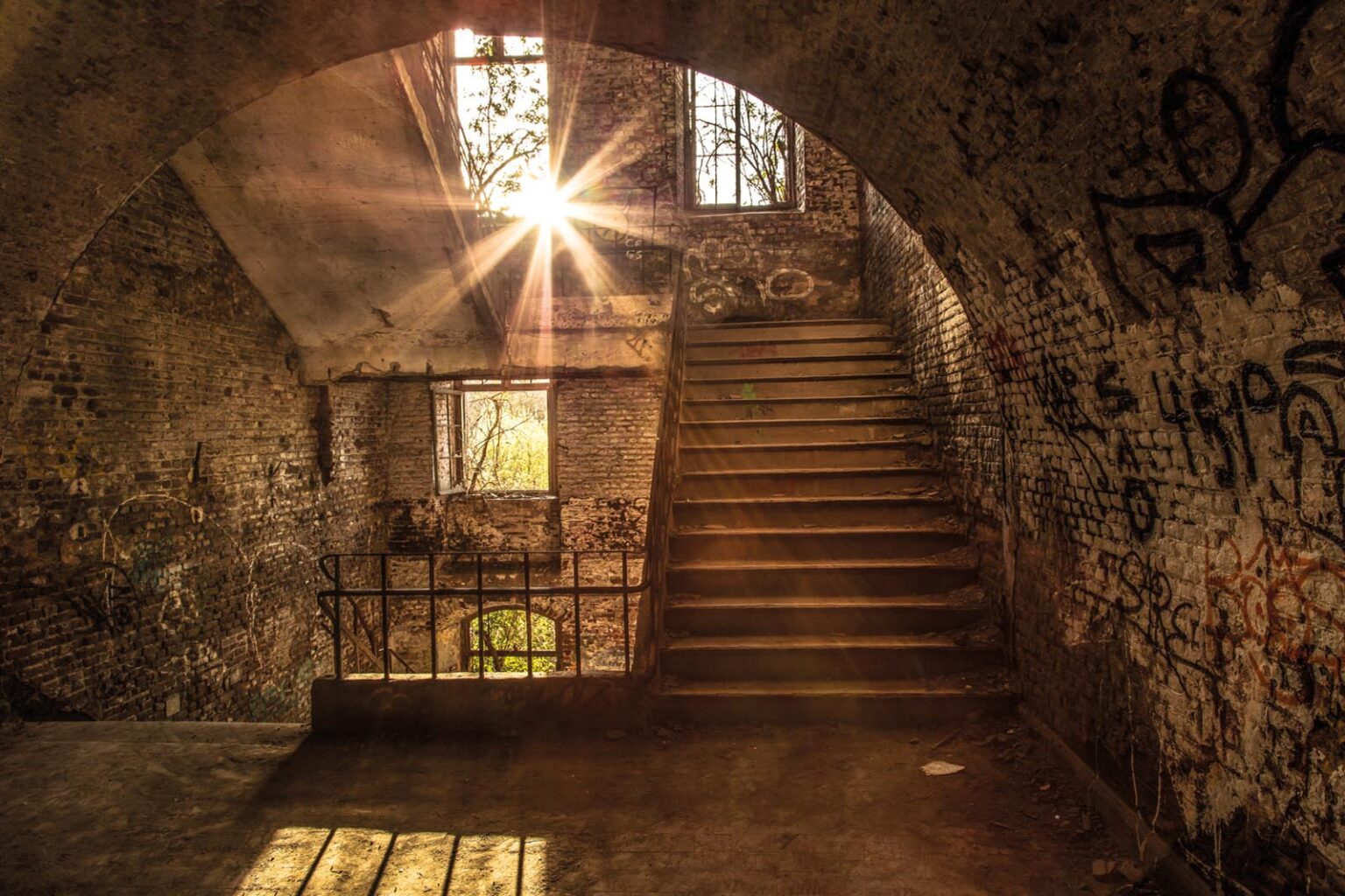 lost floor grow over with plants - Sandler Art