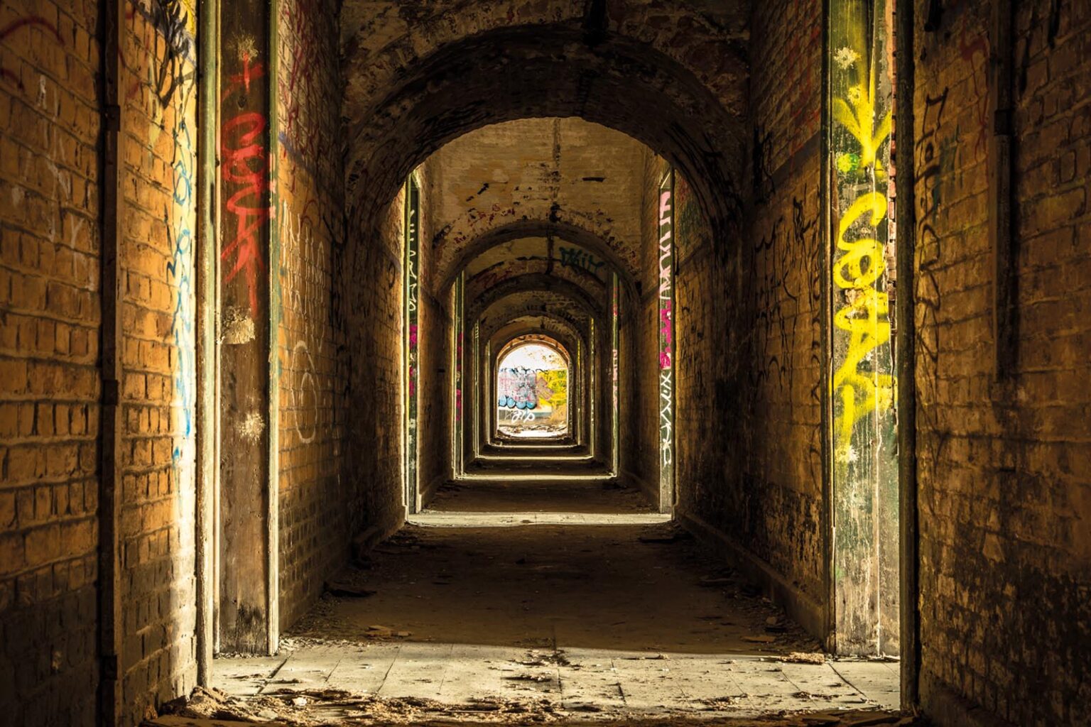 lost floor grow over with plants - Sandler Art