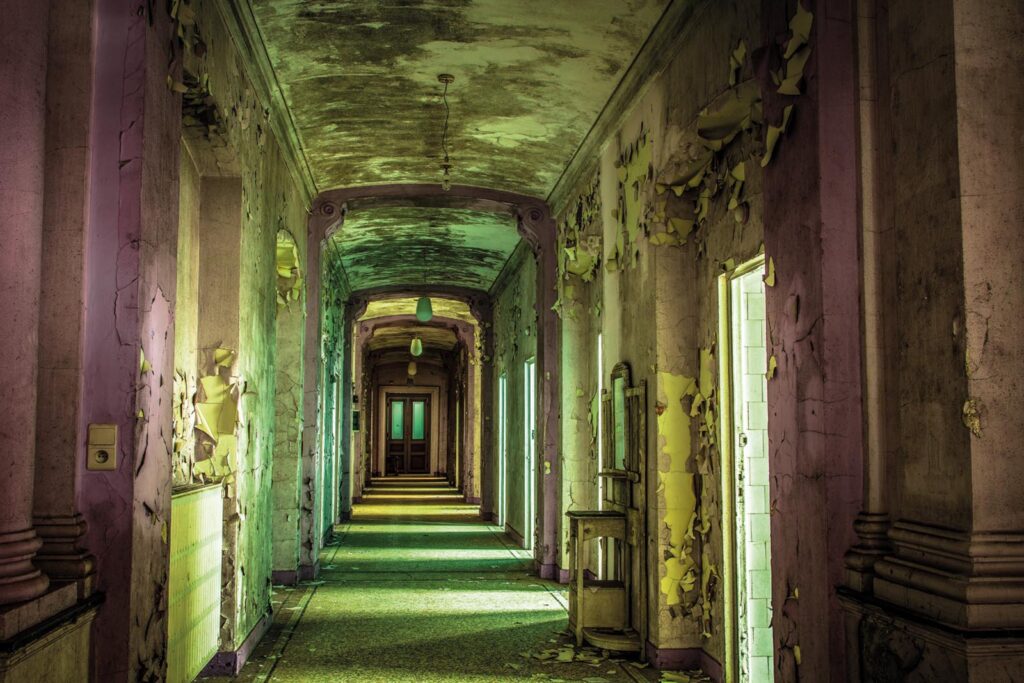 lost floor grow over with plants - Sandler Art