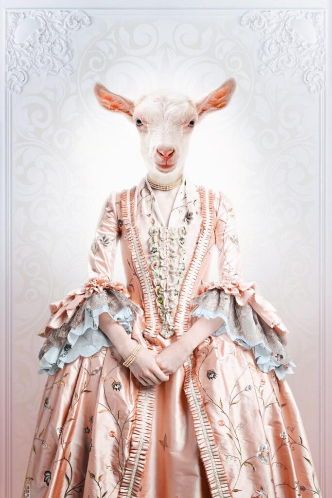 Royal lady sheep - Sandler Art
